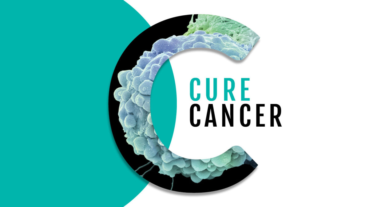 Cure for cancer gets a time frame by lead scientist