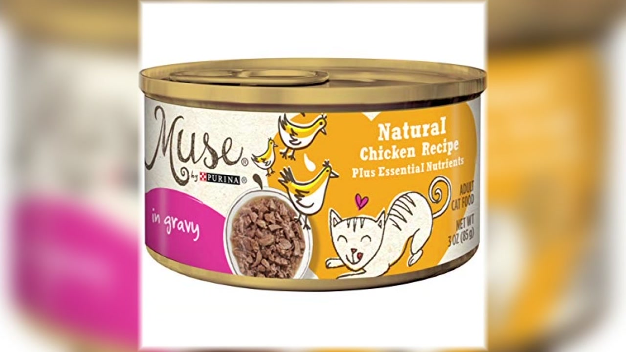 Cat Food Recall 2019: Nestle Recalls Cat Food Because it Contains Rubber