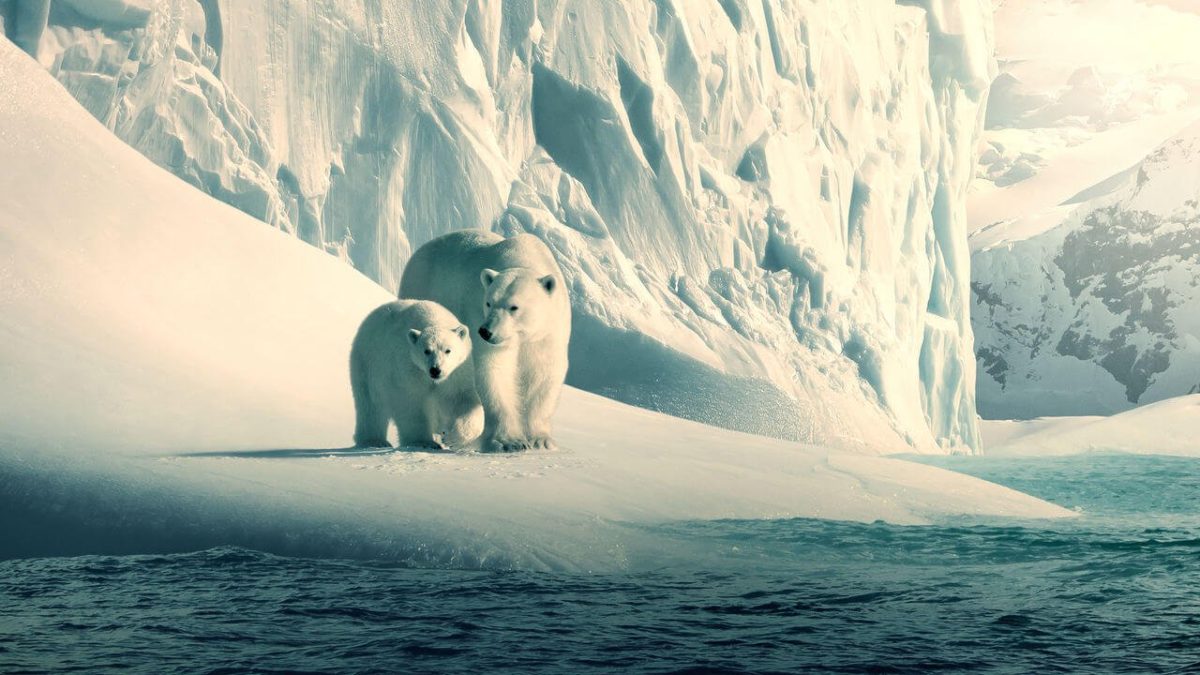 Our Planet Season 2 and everything you need to know about series renewal