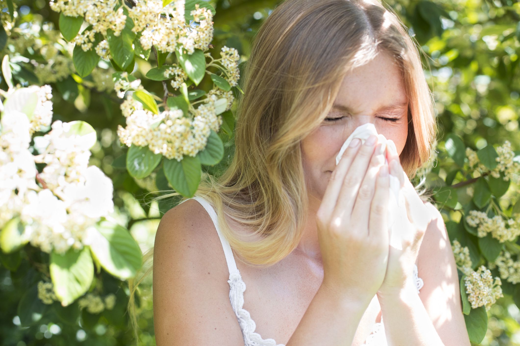 Pollen Count warning: Huge risk for patients of Hay fever