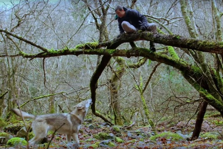 You Vs Wild season 2 release date: Producer hints Bear Grylls return on ...