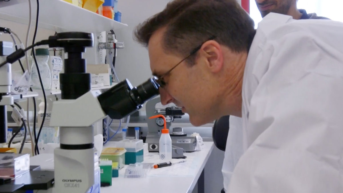 Cure For Cancer 2019 Australian Doctor Claims To Find The Solution