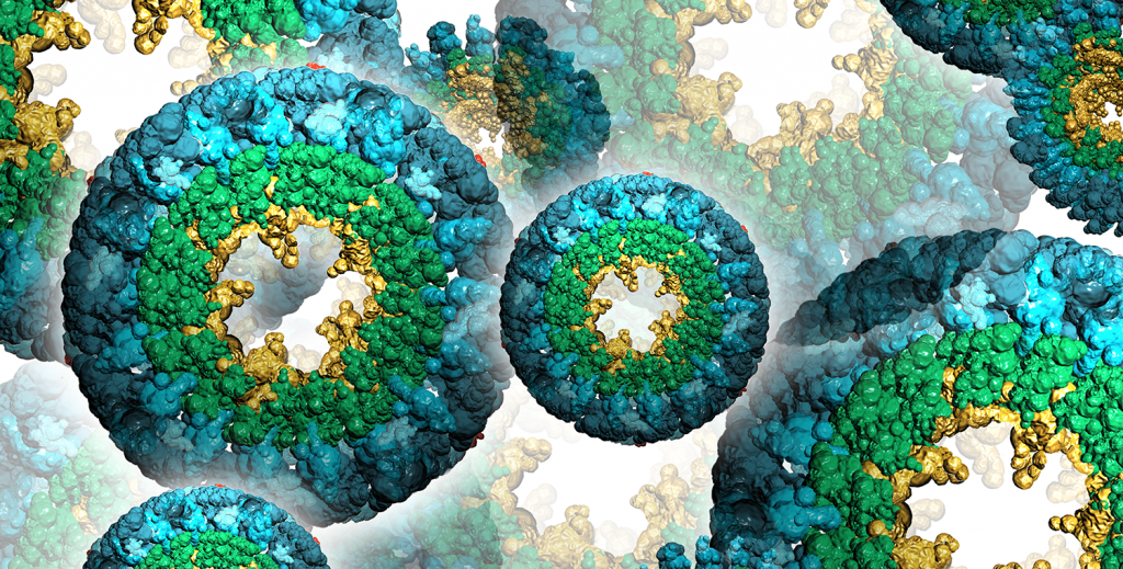 Scientists closer to finding cure for chronic pain