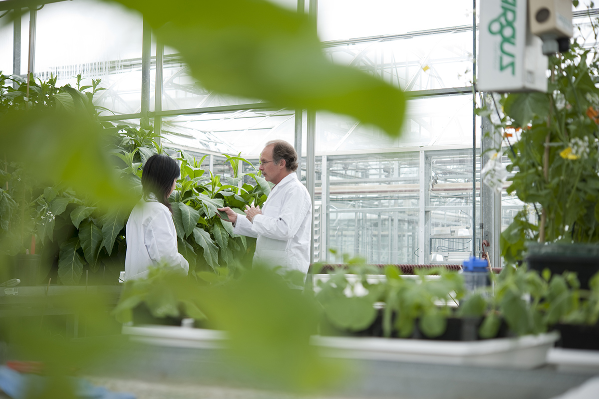 Cure for HIV/AIDS: HIV Antibody Research at PlantForm gets Funding from ...