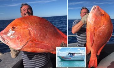 Australian fisherman catches 'Once in a Lifetime' giant 22-kg fish