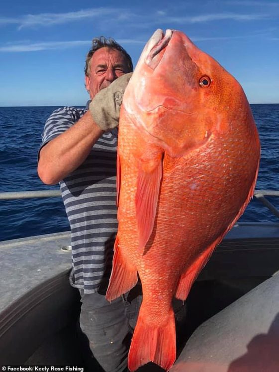 Australian fisherman catches 'Once in a Lifetime' giant 22-kg fish
