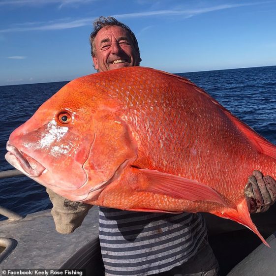 Australian fisherman catches 'Once in a Lifetime' giant 22-kg fish