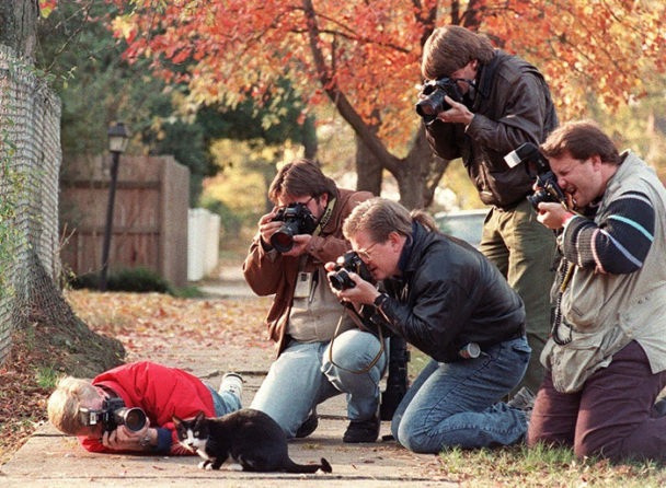 20+ Crazy Photographers Who Are Ready To Do Anything For That Perfect Shot