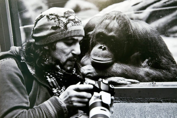 20+ Crazy Photographers Who Are Ready To Do Anything For That Perfect Shot