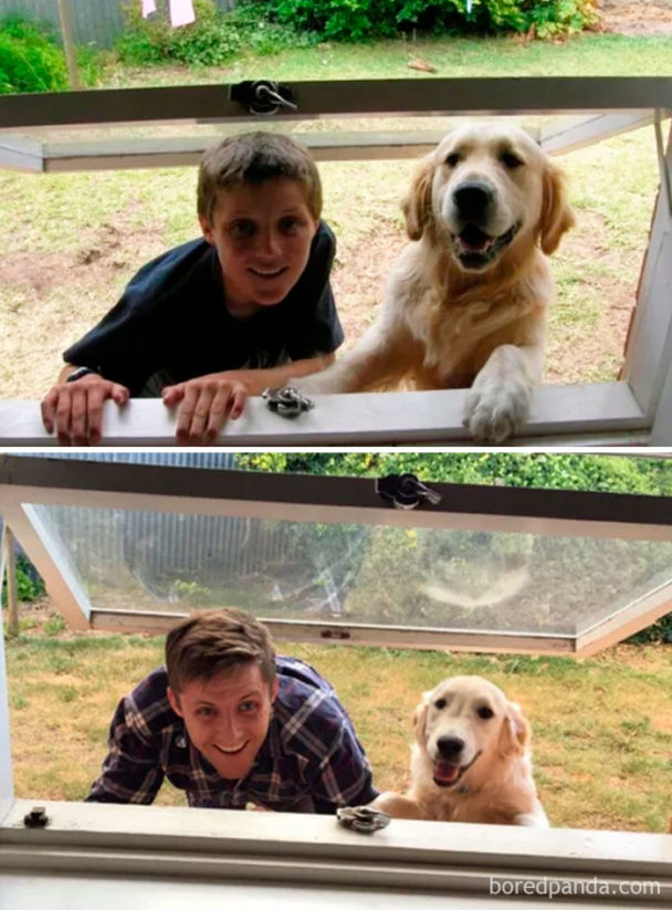 30+ Pics Of Dogs Growing Up Next To Their Owners