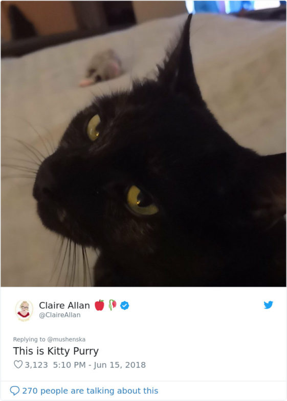 People Share The Funniest Pet Names Ever And They're Beyond Creative ...