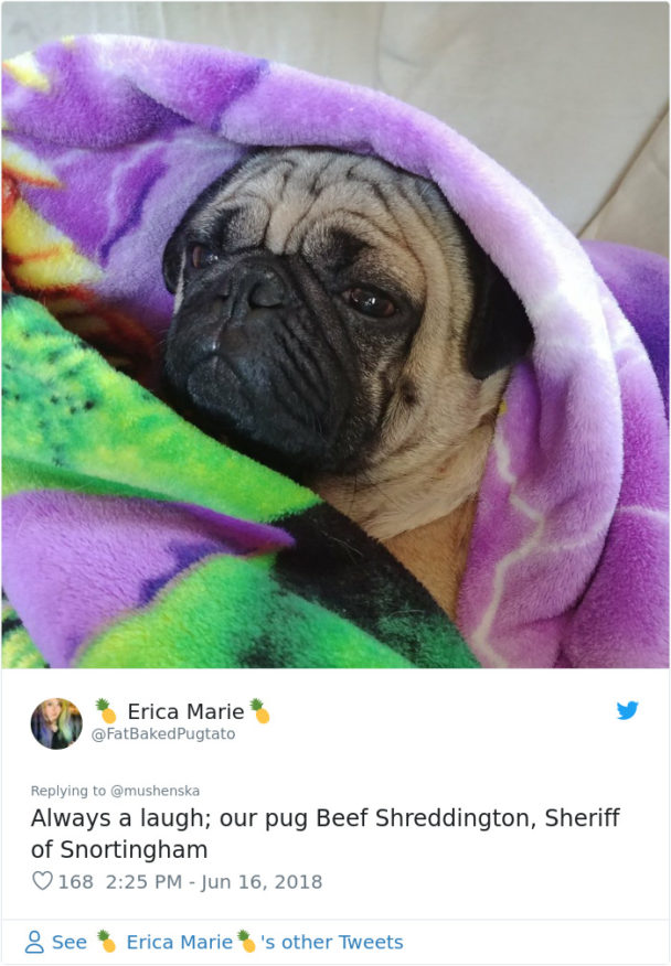 People Share The Funniest Pet Names Ever And They're Beyond Creative ...