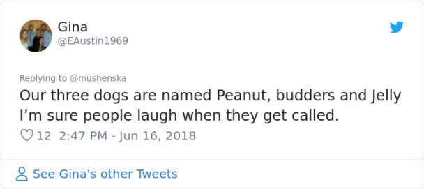 People Share The Funniest Pet Names Ever And They're Beyond Creative ...