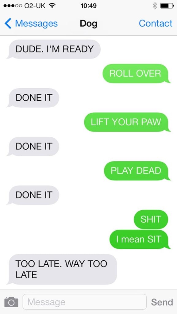 25 Texts Your Dog Would Send You If It Could Text