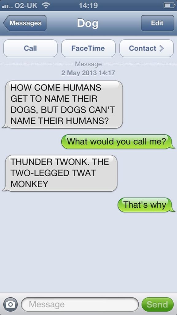 25 Texts Your Dog Would Send You If It Could Text