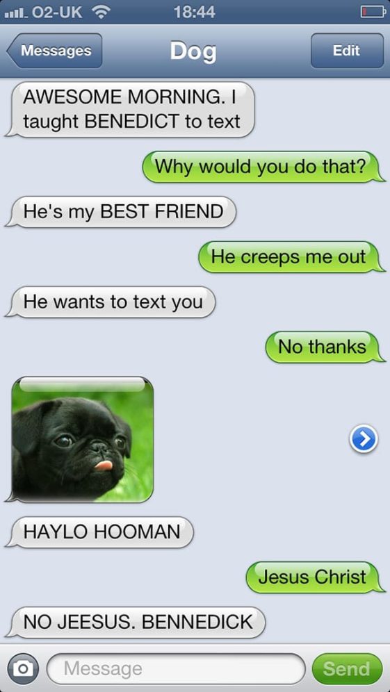 25 Texts Your Dog Would Send You If It Could Text
