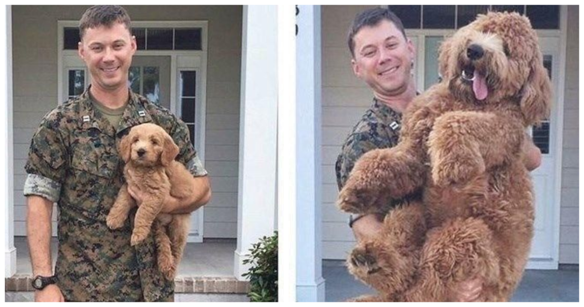 20 Before And After Pictures Which Show How Quickly Time Passes