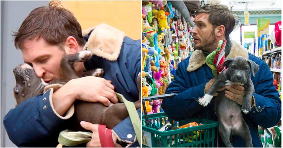 Adorable Pictures Of Tom Hardy With His Dogs To Bless Your Feed Once Again