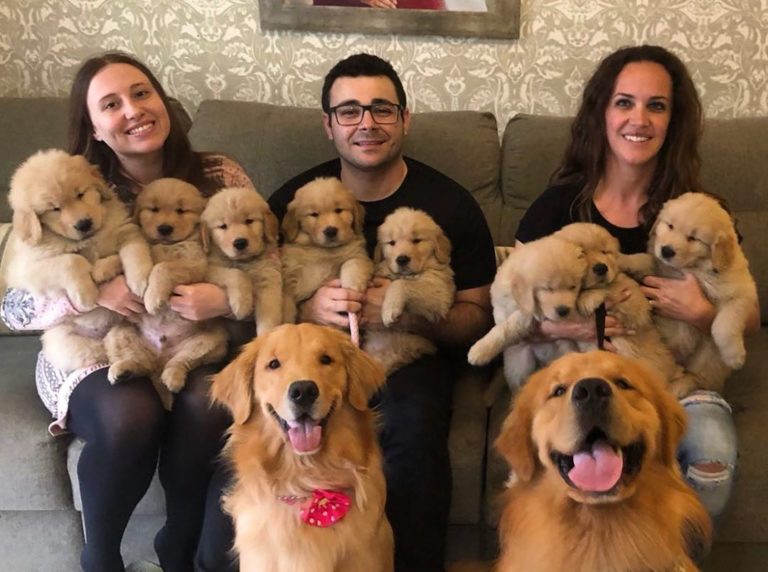 Proud Dog Parents With Their Cute Newborn Puppies (26 Pictures)