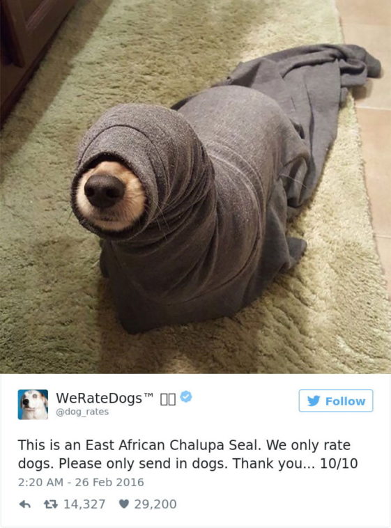People Sent 20 Dog Pics To 'We Rate Dogs' But They Turned Out To Be ...