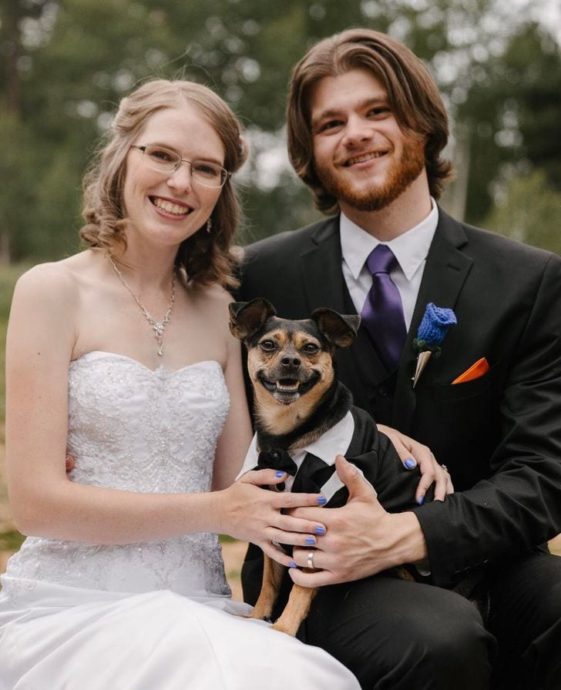 Wise Doggos Who Deserve Good Boy Of The Year Award (25 Pics)
