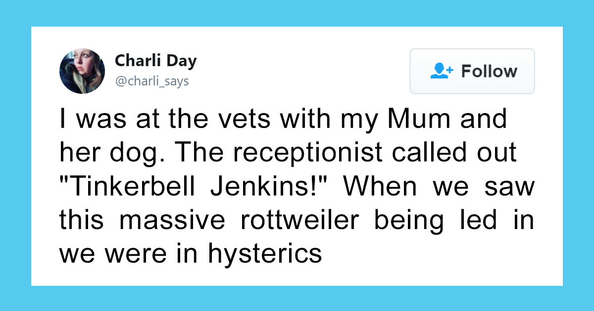 People Share The Funniest Pet Names Ever And They're Beyond Creative ...