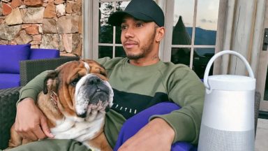 Lewis Hamilton says His Dog is Now Fully Vegan
