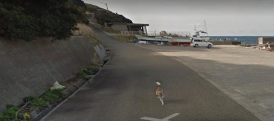 This little dog is guilty of 'ruining' every frame of a Google Street ...