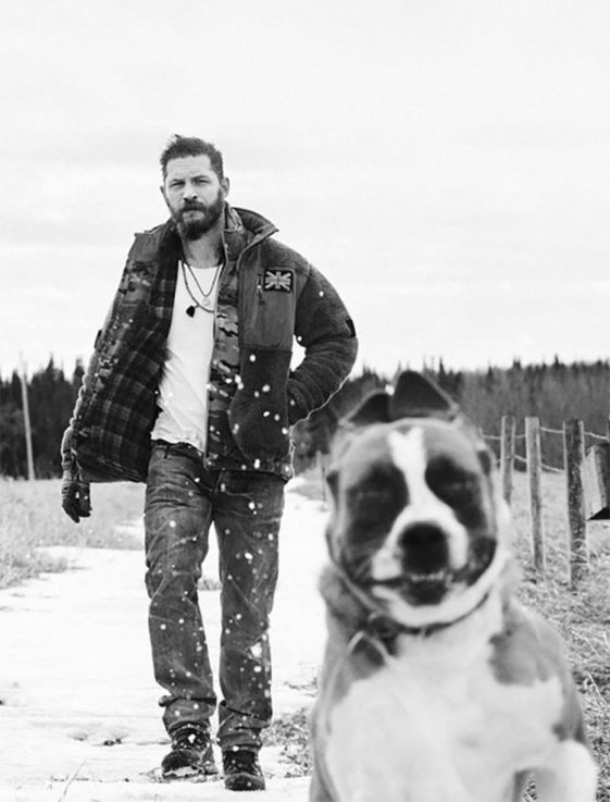 Adorable Pictures Of Tom Hardy With His Dogs To Bless Your Feed Once Again
