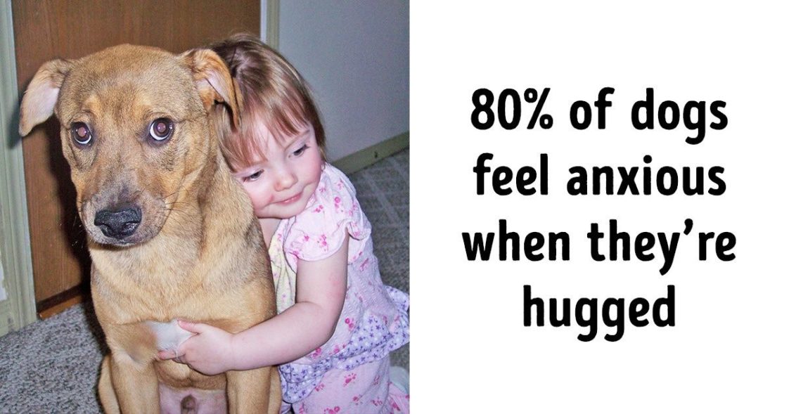 Annoying Things Which Dogs Hate, But We Keep Doing Them (10 Pics)