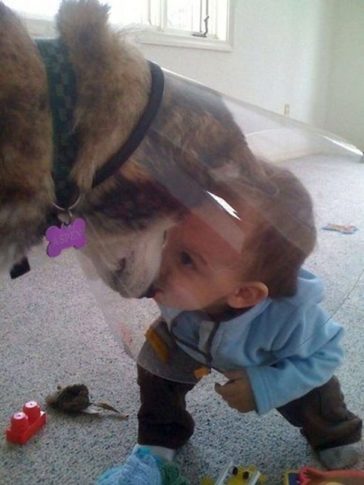 20 Adorable Pictures Of Dogs Showing Love To Kids