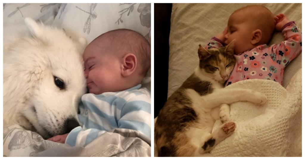 20 Pictures Which Will Make You Adore The Bond Between Animals And ...