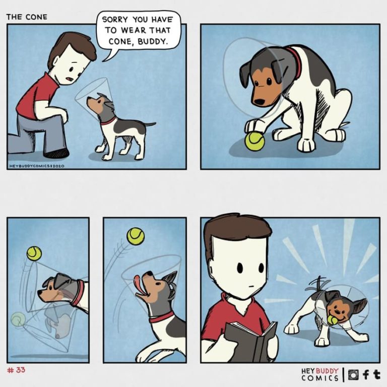 Comics That Most Doggo Owners Would Relate To (13 Pics)