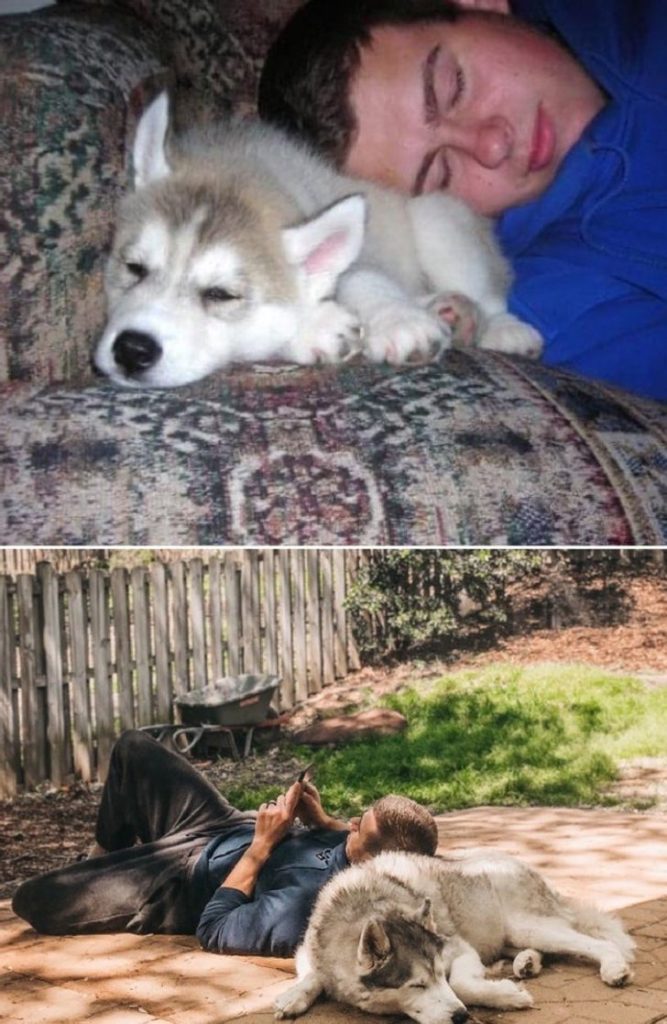 20 Pictures Which Will Make You Adore The Bond Between Animals And ...