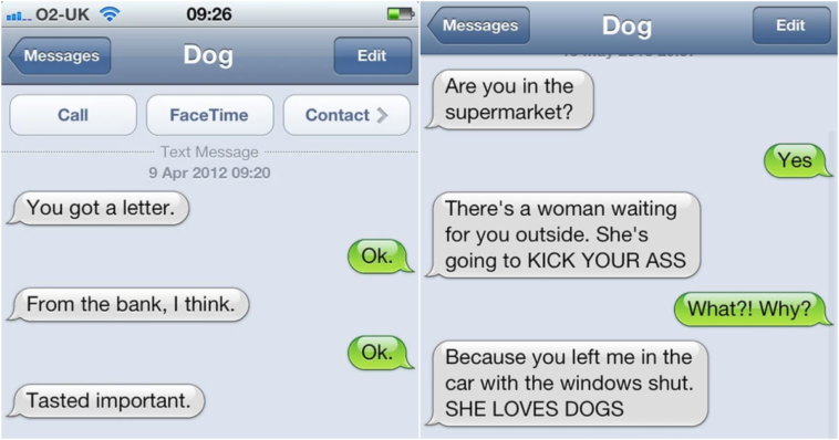 25 Texts Your Dog Would Send You If It Could Text