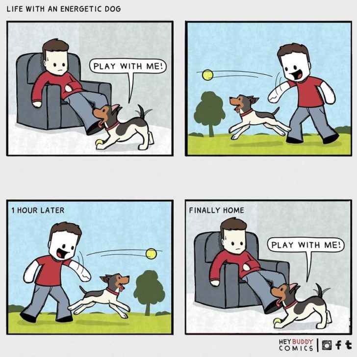 Comics That Most Doggo Owners Would Relate To (13 Pics)