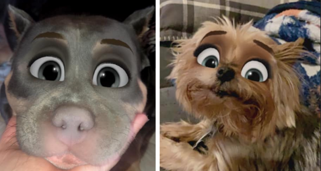 New Snapchat Filter That Turns Your Dog Into A Disney Character