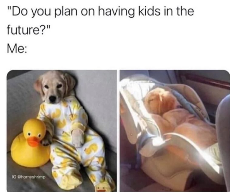 27 Memes Every Dog Owner Will Relate To