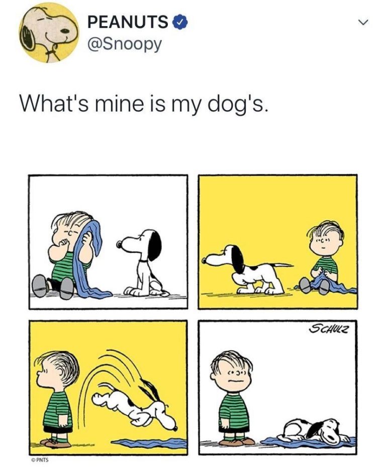 27 Memes Every Dog Owner Will Relate To