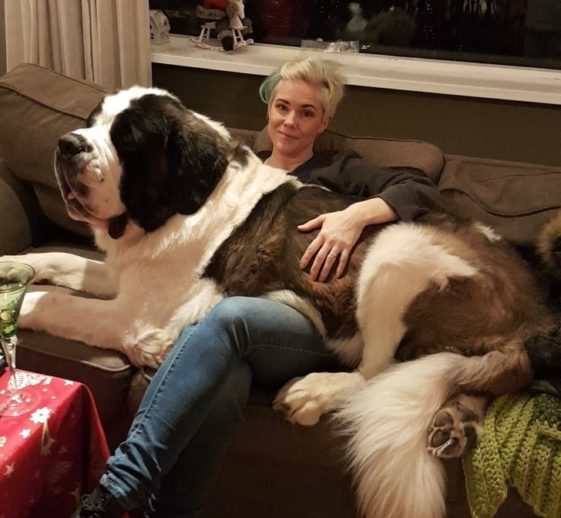 20 Times Dogs Proved They’re Just Like Babies, Only Way Bigger