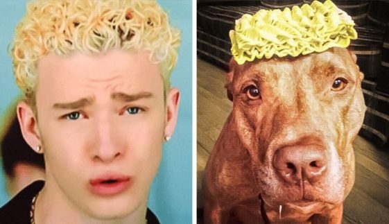 Artist Matches People With Their Dog Doppelganger And It's Hilarious