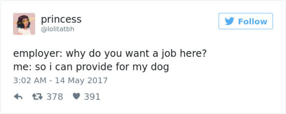 35 Funny Tweets Every Dog Owner Will Relate To
