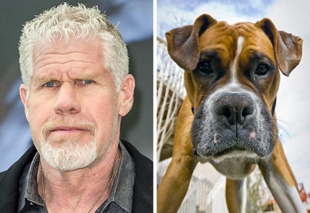 Artist Matches People With Their Dog Doppelganger And It's Hilarious