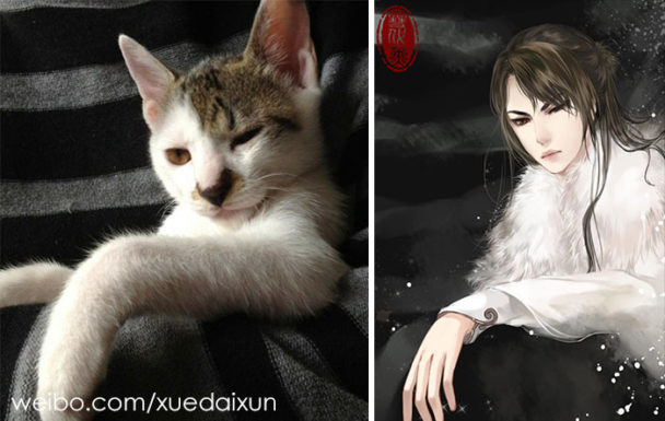 Artist Creates Human Version Of Dogs And Cats And It Is So Accurate (22 ...