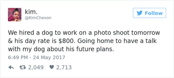 35 Funny Tweets Every Dog Owner Will Relate To