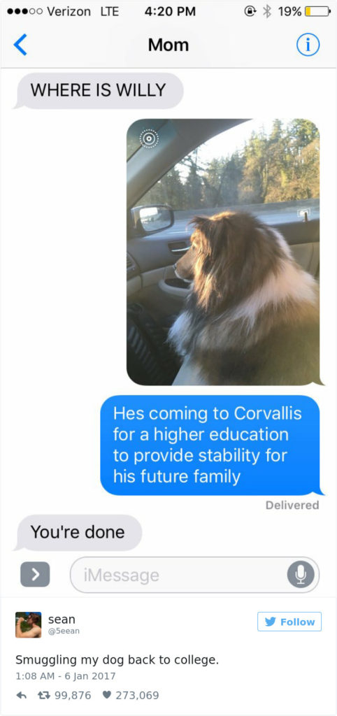 35 Funny Tweets Every Dog Owner Will Relate To