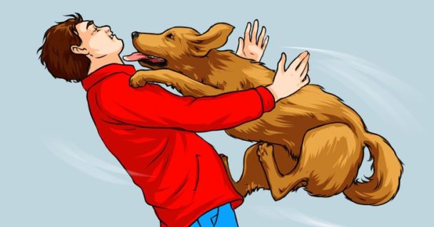10 Things Dogs Do That Reveal A Lot About Them