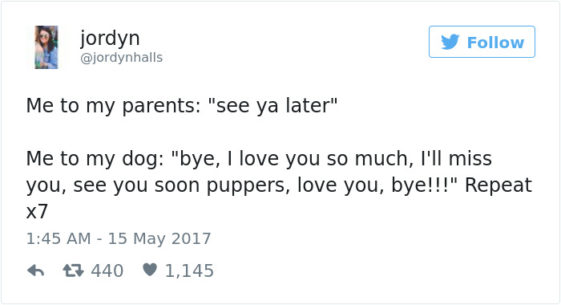35 Funny Tweets Every Dog Owner Will Relate To
