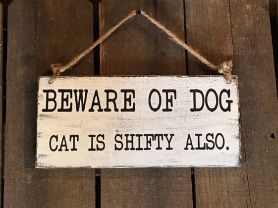 18 Dangerous Dogs Behind Beware Of The Dog Signs