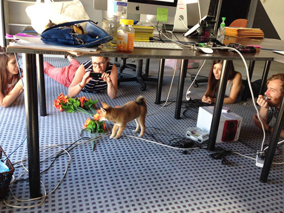 30 Best Pics From National Take Your Dog To Work Day